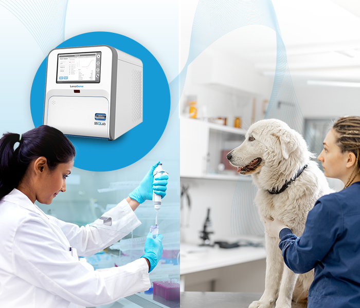 Is LexaGene a Good Investment? 5 Crucial Factors for Potential ...