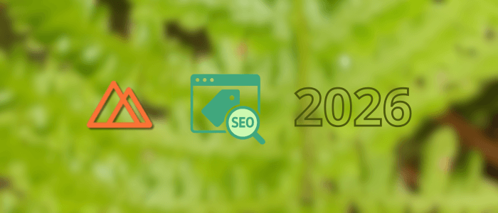 Nuxt 4 SEO Optimization Guide (2026 Edition) | by Didin Jamaludin ...