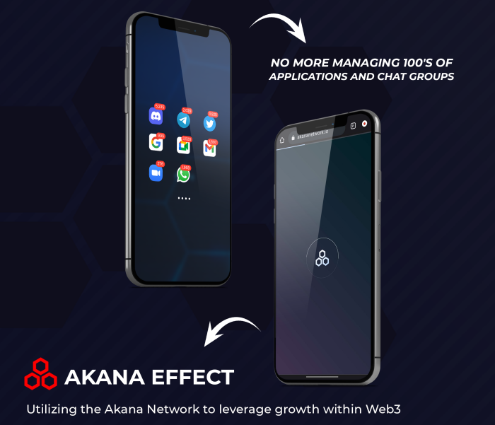 The Akana Network: vision, mission & team | by Akana Network | Medium