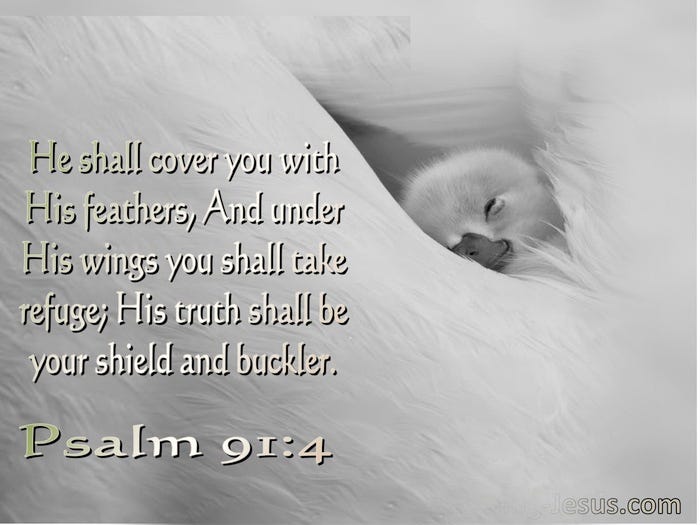 Safe in the Shadow of God’s Wings | by Mrs Diane Mary Markey | Medium