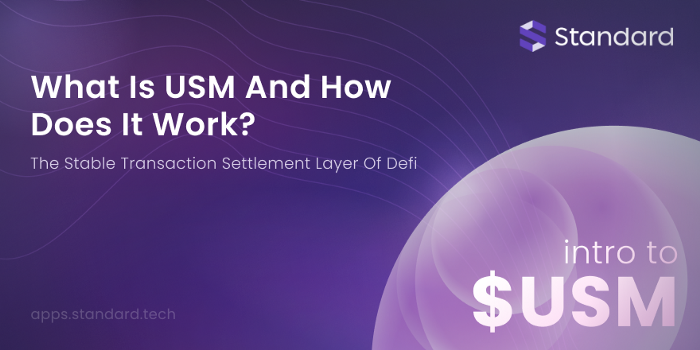 What is USM and how does it work? | by Hyungsuk Kang | Standard Protocol