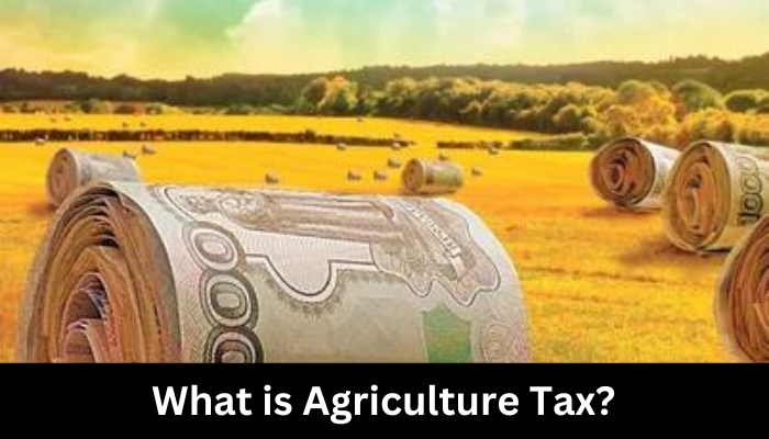 What is Agriculture Tax?. Agriculture tax is a significant… | by Dr ...
