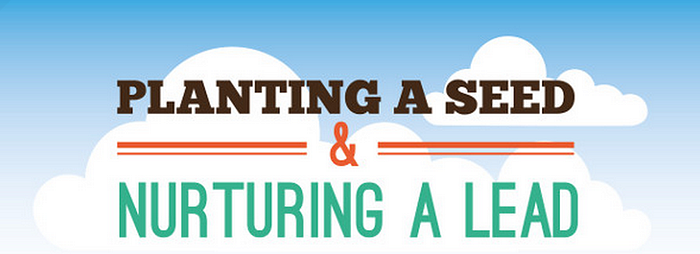 Planting a seed and Nurturing a lead | by Sarah Willis | Medium
