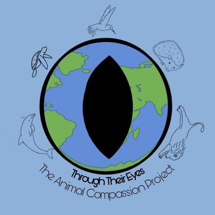 Making Connections Count- The story of “Through Their Eyes: The Animal ...