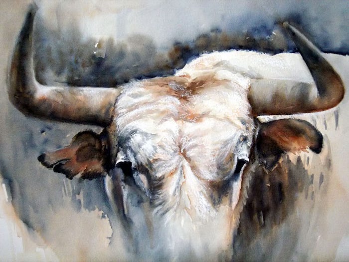 Cloning. Chance was a Brahman bull, but Ralph… | by Professor | Medium