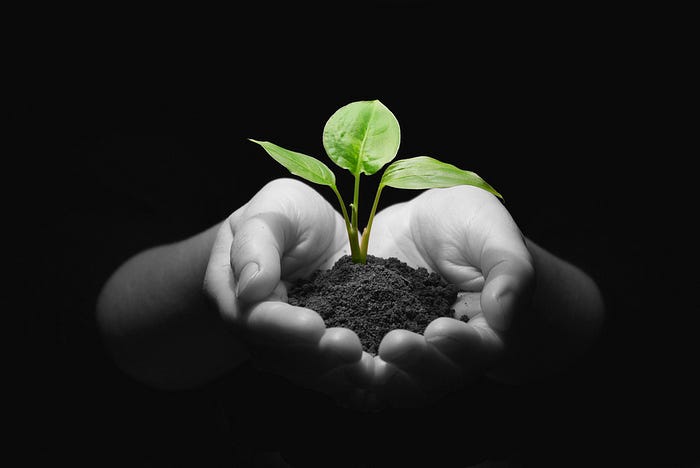 Market Always Wins: Part 1. Of market, product, or team, the choice ...