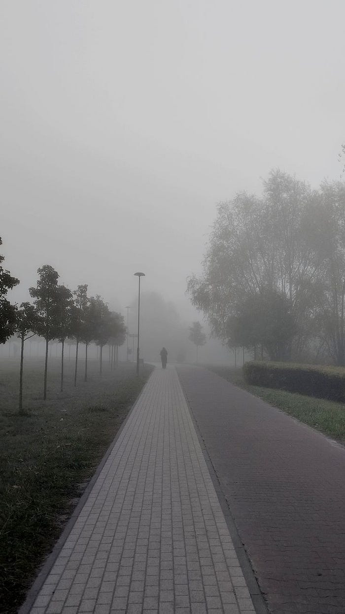 The Burning Windowpanes. This is a poem about thick fog which is… | by ...