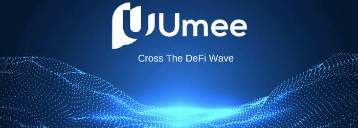 UMEE. Umeeverse Genesis Launch.. Вчера компания Umee объявила об… | by ...