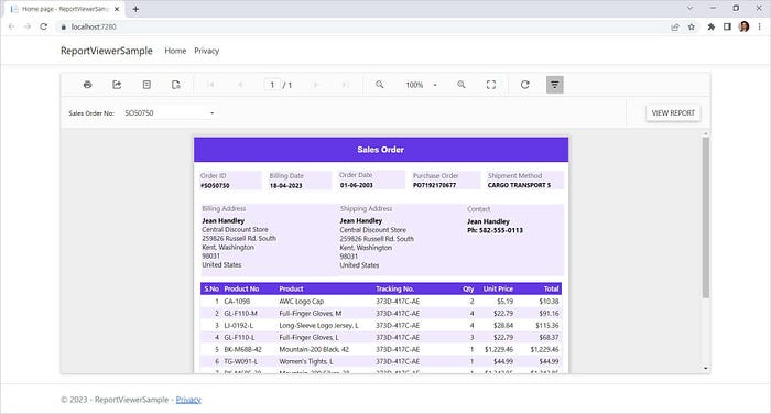 Guide to Integrate ASP.NET Core Report Viewer into the .NET 6 App ...