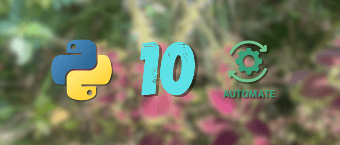 10 Useful Python Scripts to Automate Your Daily Tasks | by Didin Jamaludin | Stackademic