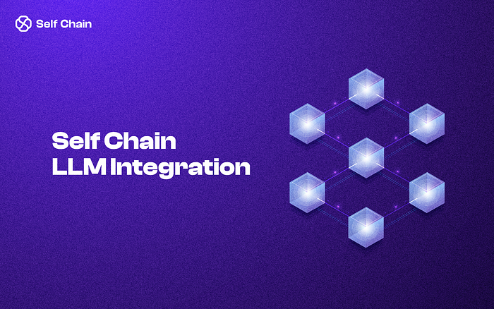 Self Chain LLM Integration(Русский) | by Unity Nodes | Medium
