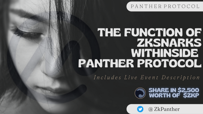 LA FUNZIONE DI zkSNARKs ALL’INTERNO DEL PROTOCOLLO PANTHER — lettura veloce. | by Calvary | Medium