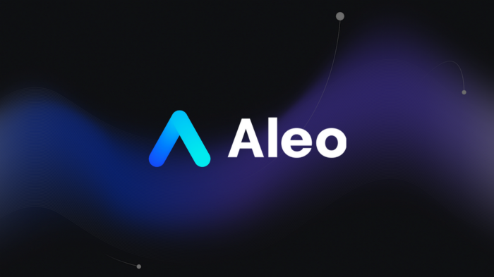 Iron Fish еще один конкурент для Aleo? — Teletype