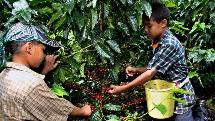 Child Labour: Where is it in the media? | by Sophie Cook | Medium