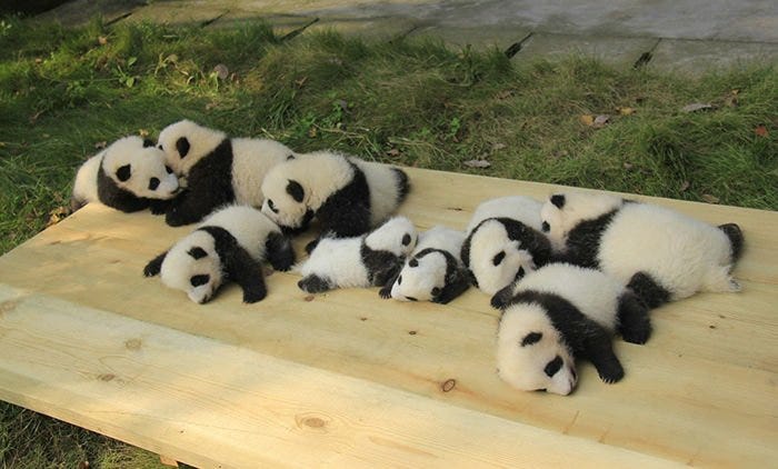 hero to heroo in data preprocessing — pandas part 2 🐼🐼 | by Andreas ...