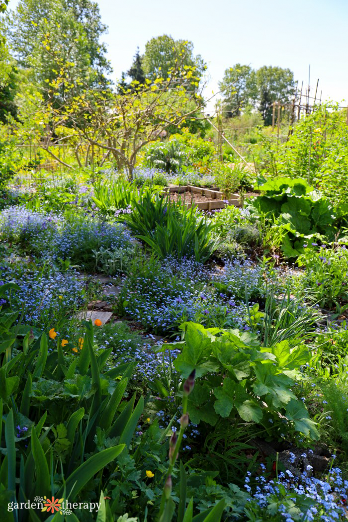 Adapting Permaculture Design to City Gardens, Flats, & Extra! | by ...