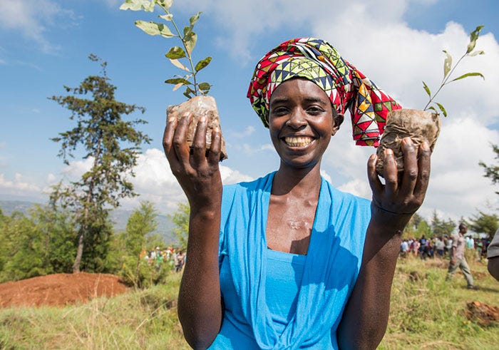 Rwandan Women Embrace Forest conservation Policy | by WanaData ...