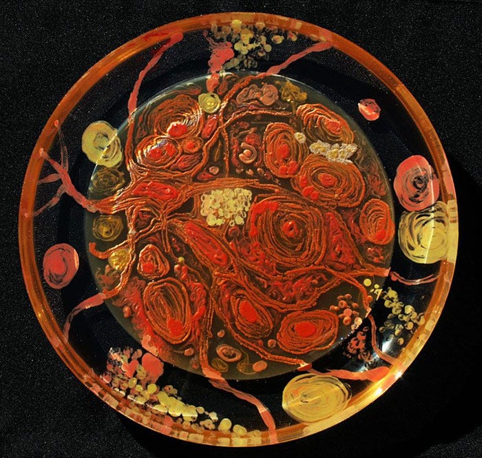 Arte Microbiano. “Aunque parezca paradójico, la vida… | by Nathaly Dongo Mendoza | Medium