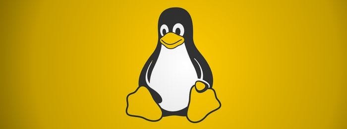 Princípios Básicos do Linux. Uma visão abrangente do Sistema… | by Hugo Habbema | Medium