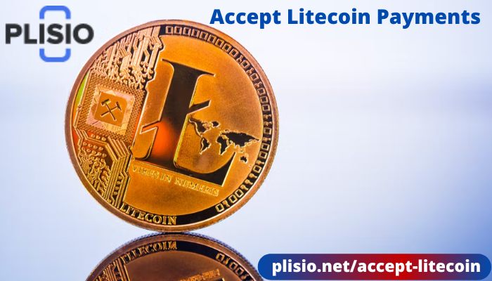 Accept Litecoin payments system 2022 | by Dipayanseo | Medium