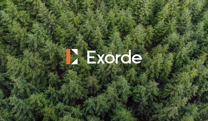 Exorde is the next King. An idea that is gaining ground | by Leochan ...