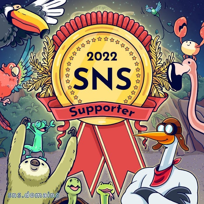 SNS DAO. Crypto is a force for good. And they… | by Ravinaarorayt | Medium