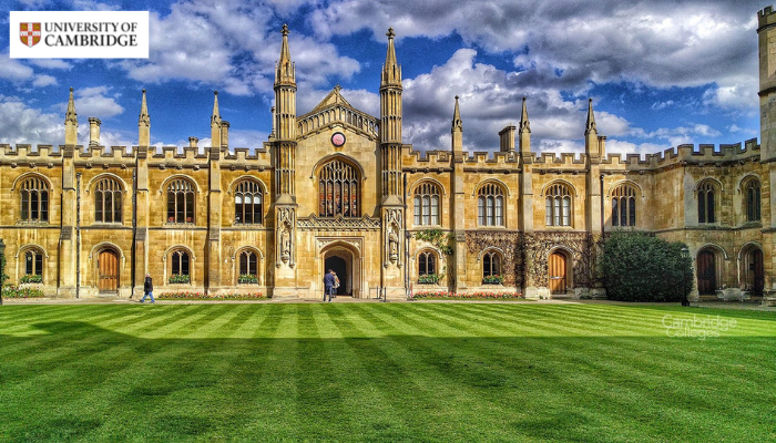 Top 6 universities to becoming a doctor for 2023 | by Carepro | Medium