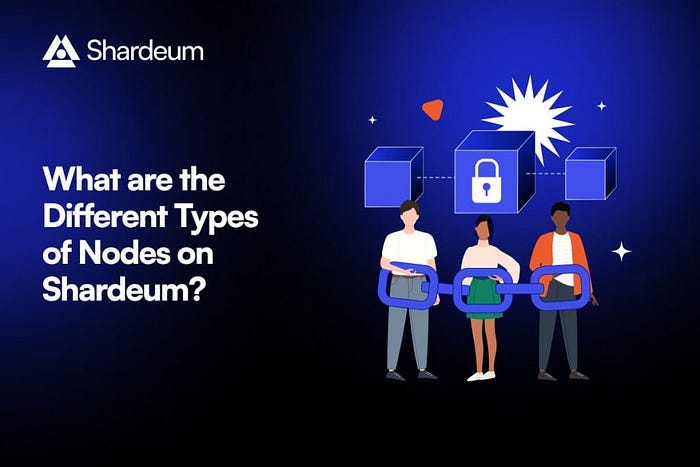 Diferentes tipos de nodos en Shardeum: una inmersión profunda | by Azu ...