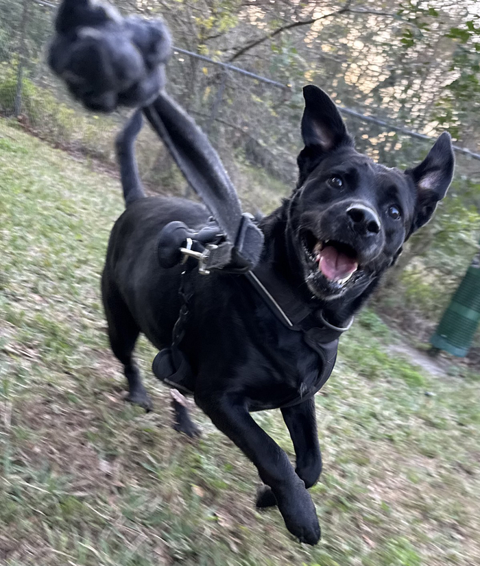 How I Saved 50K on Taxes. Have you ever had to file your taxes… | by ...