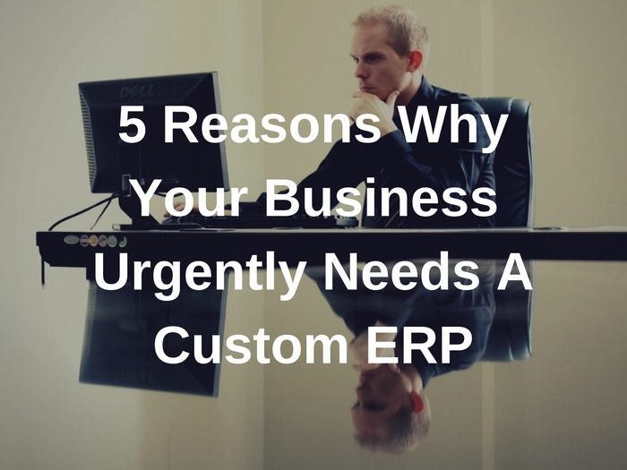 5 Reasons Why Your Business Urgently Needs A Custom ERP | by Amit ...