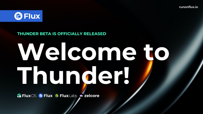 Benvenuti a Thunder!. Project Thunder è una delle versioni… | by Fluxitalia | Medium