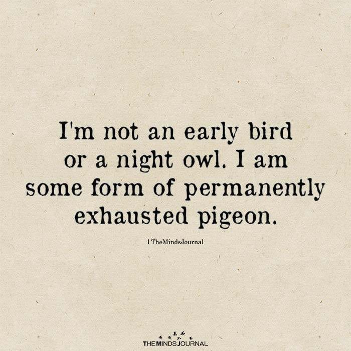 Early Bird or Night Owl?. Nope. Permanently Exhausted Pigeon… | by Kaz ...