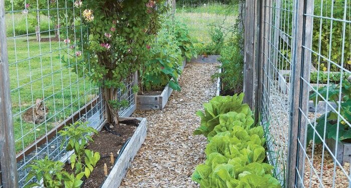 Vegetable Garden Fence Ideas. Vegetable Garden Fence Ideas | by azhar ...