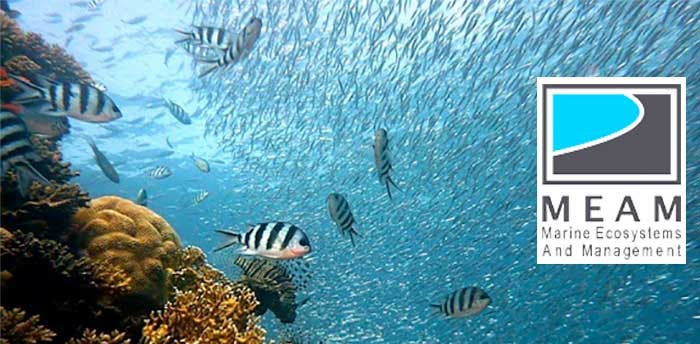 Ecosystem-Based Management: Monitoring for Thinking and Acting Globally ...