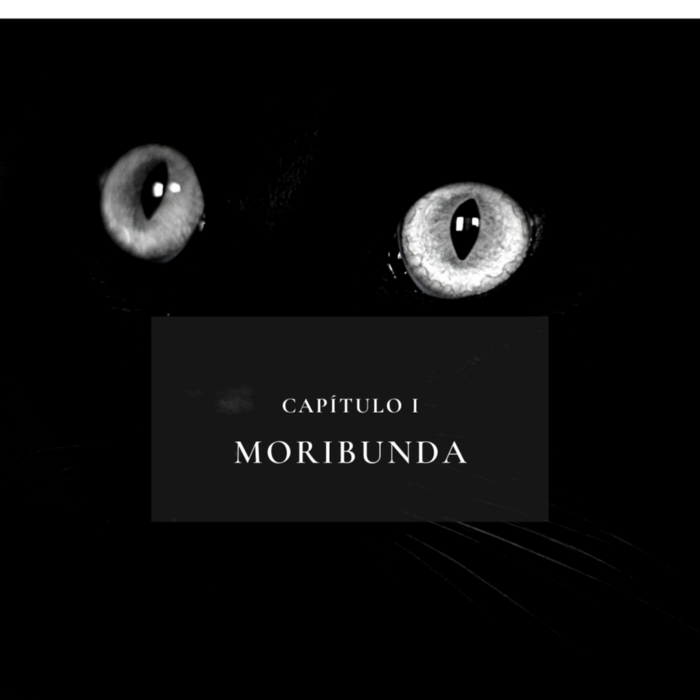 Moribunda. Hace algunas semanas me encontraba en… | by Amaranta Viteri ...