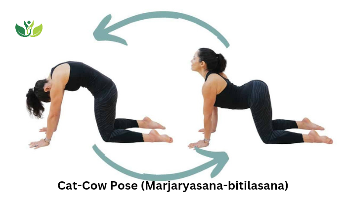 Discover the Transformative Power of Yoga: 5 Easy Asanas for Beginners ...