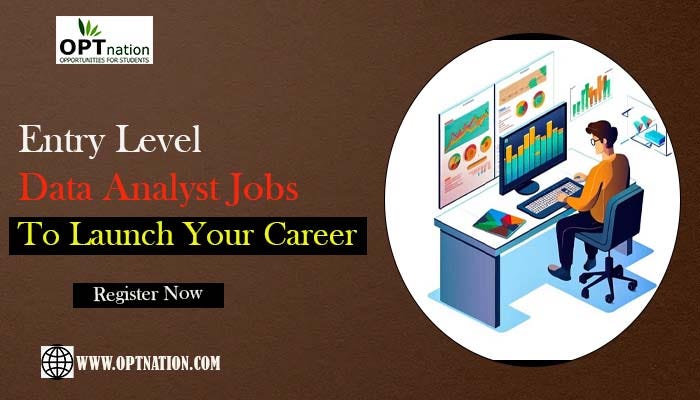 Entry Level Data Analyst Jobs to Launch Your Career | by Optnation | Medium