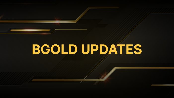 BGOLD UPDATES. After 2 weeks of bootstrapping, we can… | by Binary Gold ...