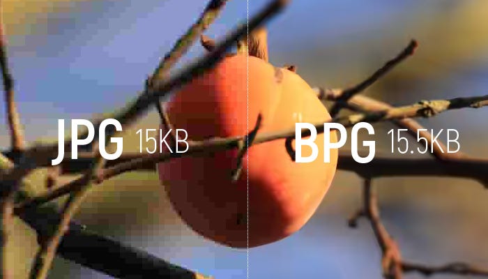 New super image format for the web — BPG | by Vladimir Jovanović ...