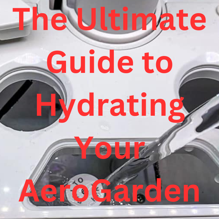 The Ultimate Guide to Hydrating Your AeroGarden: Step-by-Step Watering ...