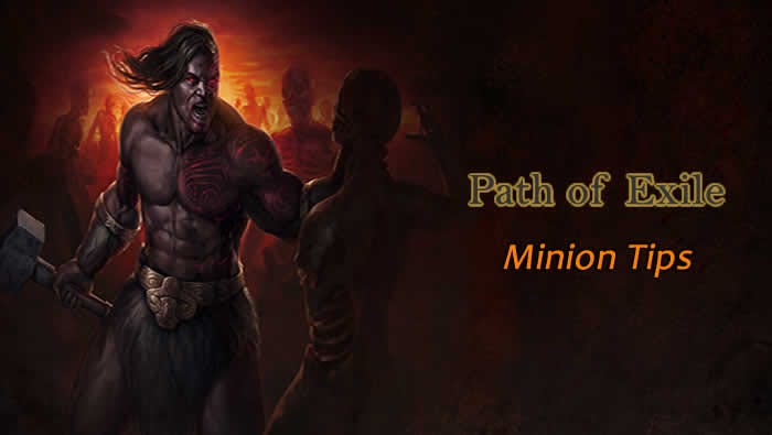 Path of Exile: Minion Tips. I have been paying attention to the new ...