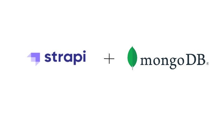 MongoDB as a Secondary Database with Strapi | by Saad Mujeeb | Medium