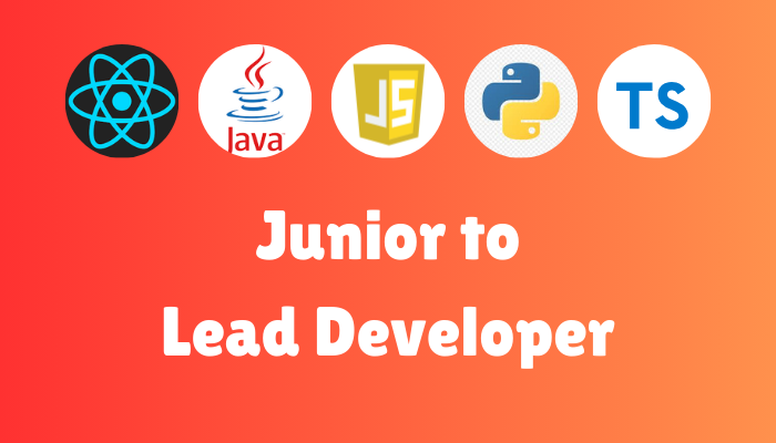 Junior to Lead Developer Step-by-Step | by Fire Programmer | Jul, 2024 ...
