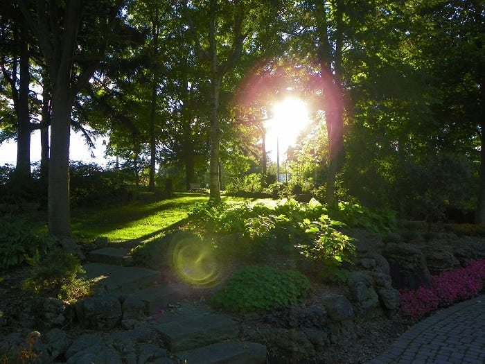Ordinary Life. A poem about the beautiful mundanity of… | by Jessica ...