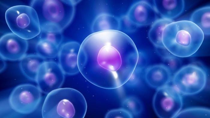 I Love My Cells and My Cells Love Me | by Brooklyn Ayn Martin | Medium
