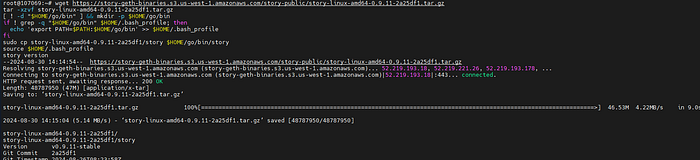 Story Protocol. Устанавливаем ноду — Teletype