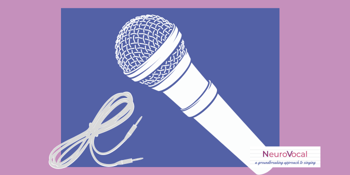 Amplify your studio: The benefits of a microphone setup for vocal ...
