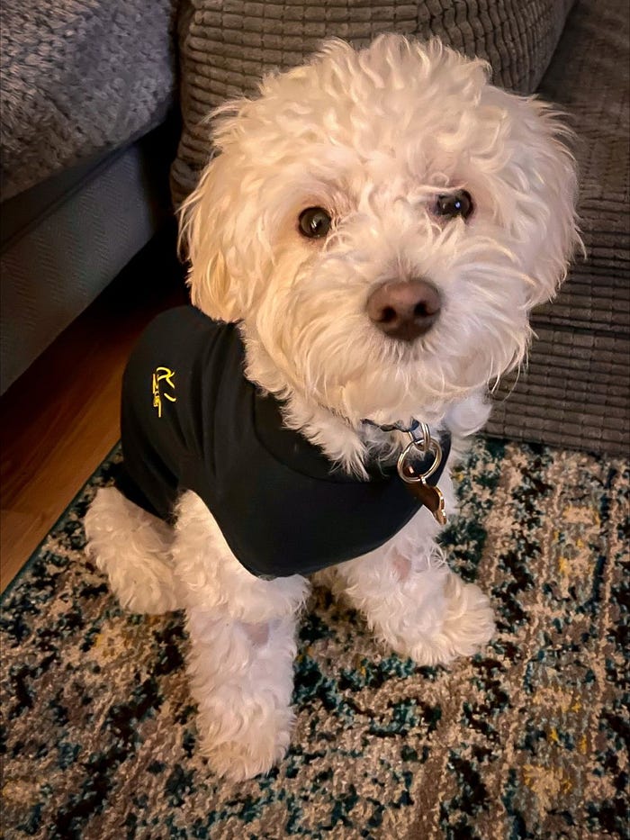 Fewings’ Fascinating Fact #2 2023 | by Nick Fewings | Medium