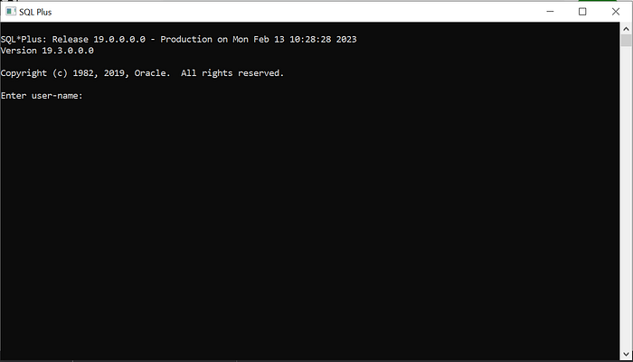 Oracle 19c installation on Windows 10 (x64) | by Ramishamukhtar | Medium