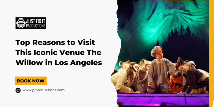 Top Reasons to Visit This Iconic Venue The Willow in Los Angeles | by ...